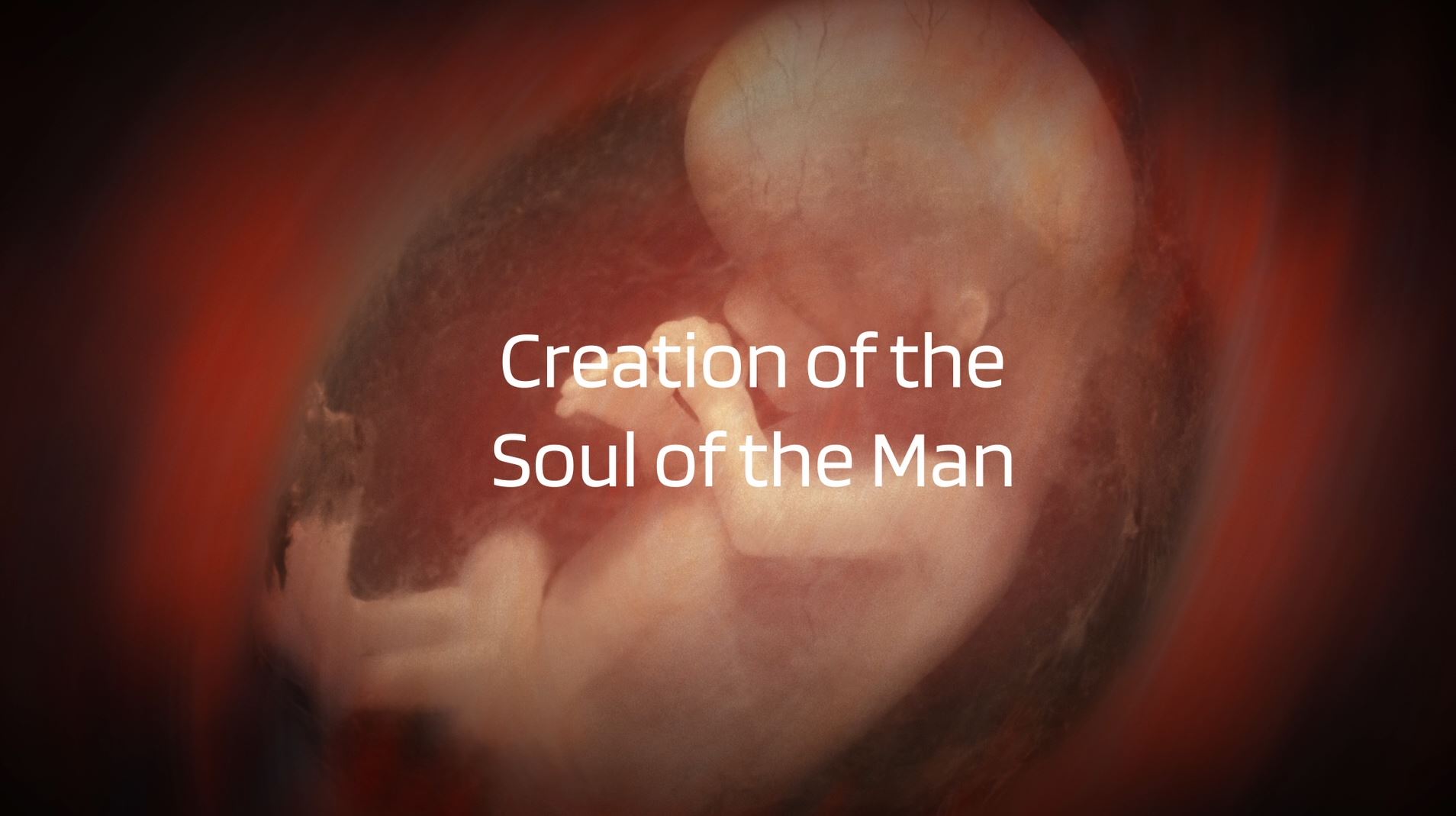 Creation of Our Soul In The Womb – Plasma In Nature